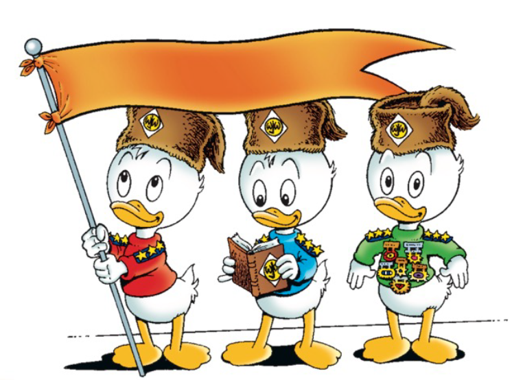 Les CASTORS JUNIORS montent leur camp au FESTIVAL INTERNATIONAL DE LA ...